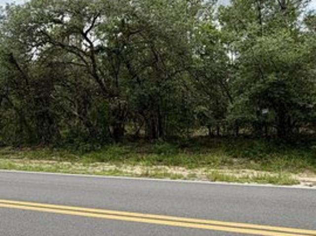 0041 Cousintown Rd, Interlachen, FL 32148