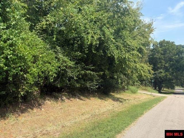 004 00076 South Ave, Cotter, AR 72626