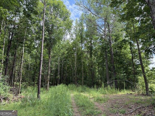 004 County Road 445, Haleyville, AL 35565