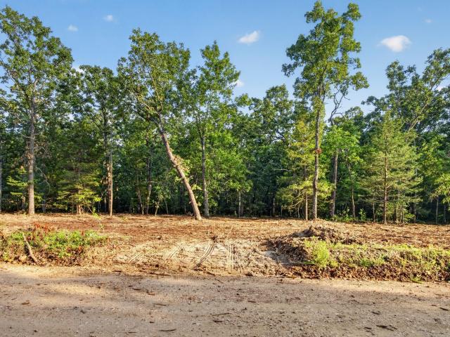 004 Cantrell Road