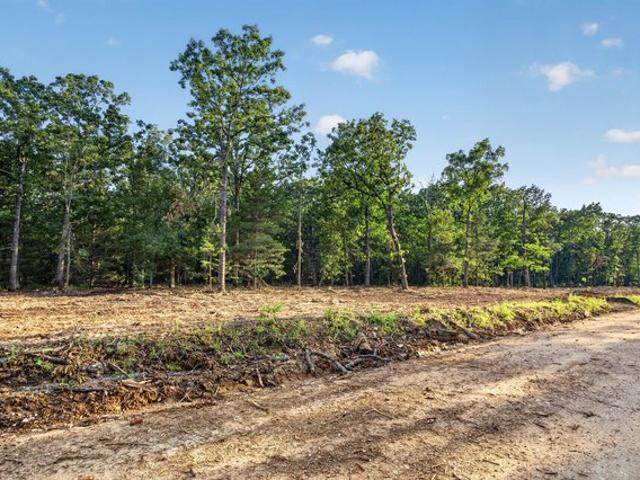 004 Cantrell, Mansfield, MO 65704