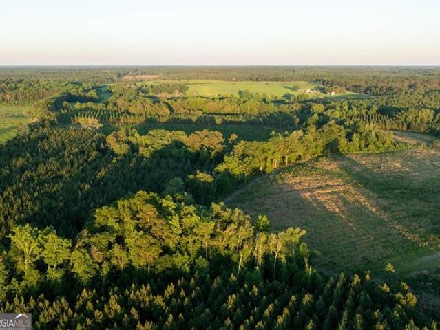 004 Beulah Tract Rd # 4, Sylvania, GA 30467