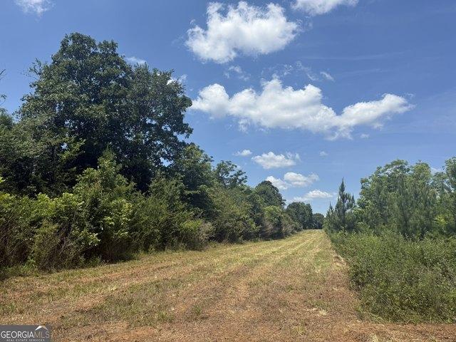 004 Fountain Bridge Rd, Cuthbert, GA 39840