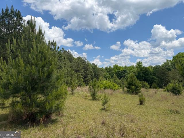 004 Little Sandy Creek Road
