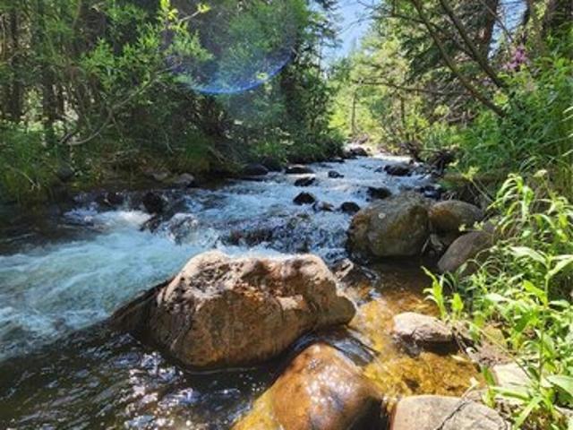 004 Rainbow Rd, Idaho Springs, CO 80452