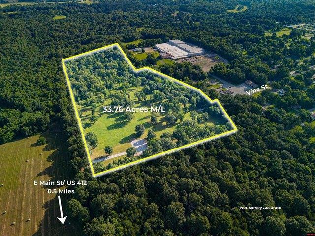 005 02774 Vine St, Gassville, AR 72635