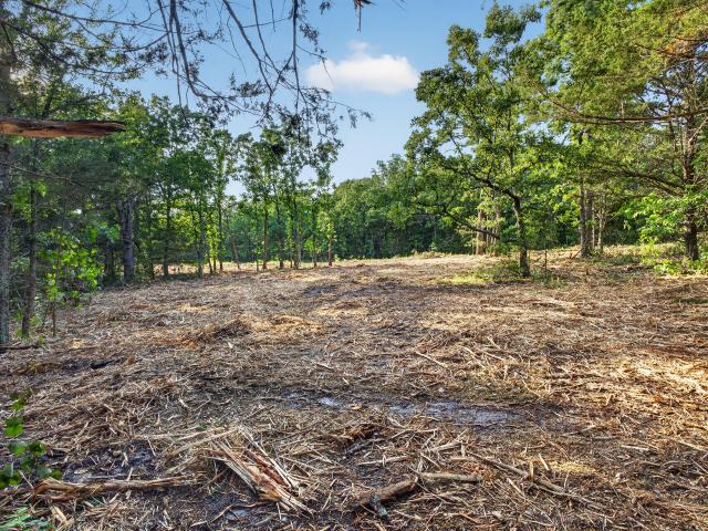 005 Cantrell Road