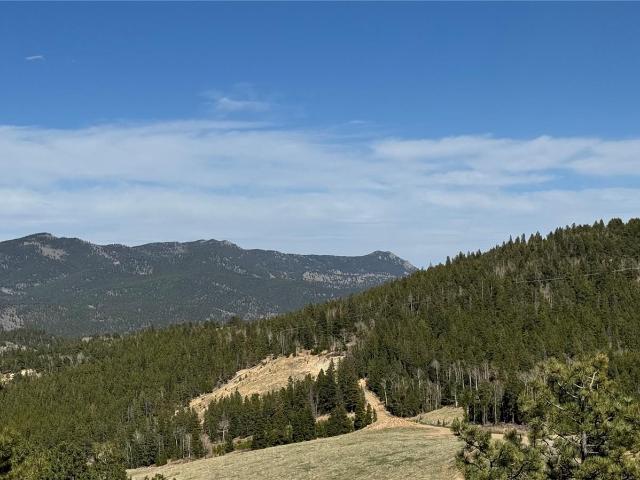 005 Pewabic Mine Road