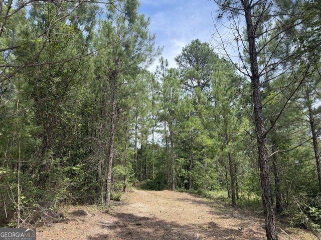 005B Cleghorn Dr, Tallassee, AL 36078