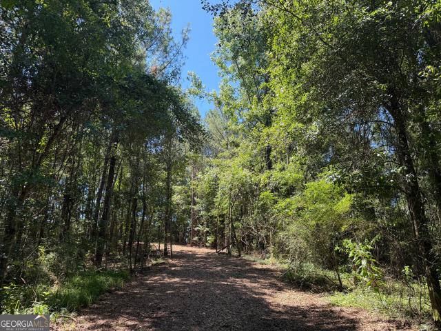 005G Wallace Buie Road