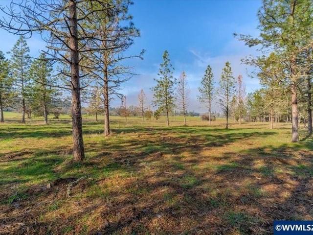 0060 Tax Bellinger Scale Rd Lot Old, Lebanon, OR 97355
