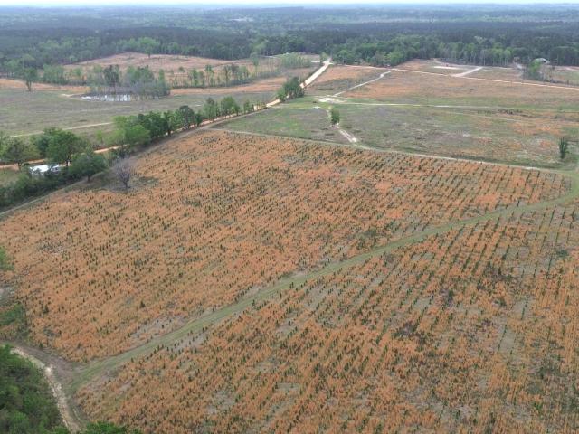 006 Beulah Road Tract 6