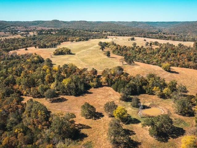 006 Gunnison Rd, Kirbyville, MO 65679