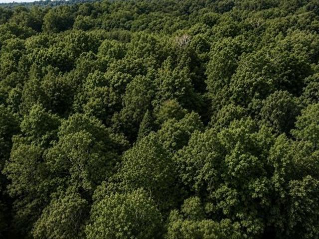 006 Libby Cir Lot 6, Lexington, TN 38351