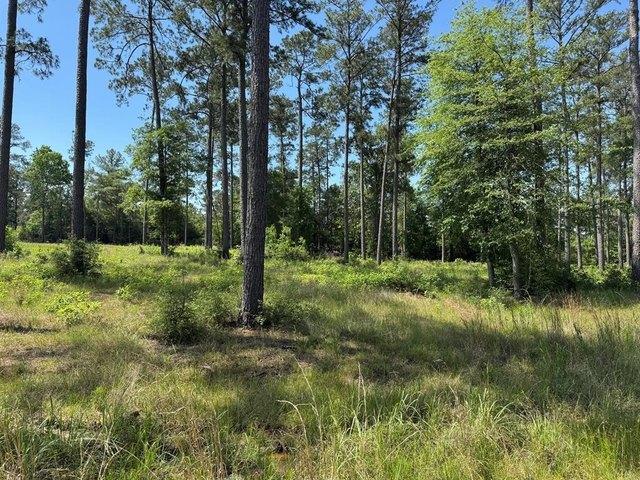 006 Private Road 6028 Tract # 1 6, Brookeland, TX 75931