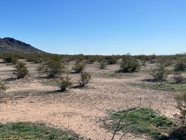 0070 W Western Meadows Lane # 7,17,19,21