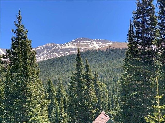 0089 County Road 670 Lot 11, Breckenridge, CO 80424