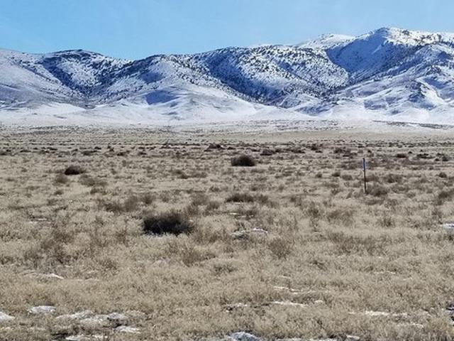 00827 W Star Peak Rd, Imlay, NV 89418