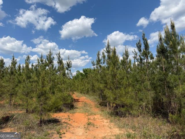009 George Milling Rd