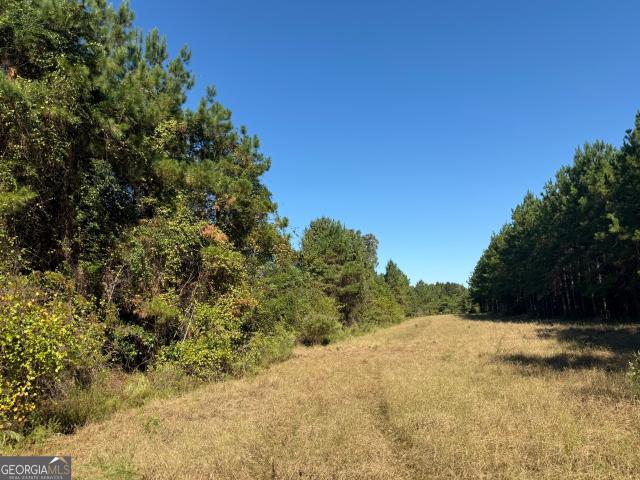 009 Mt Zion Road