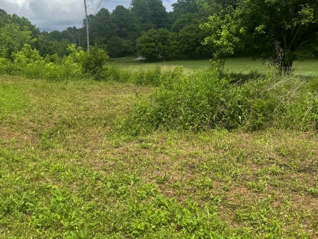 00 Tails Creek Rd