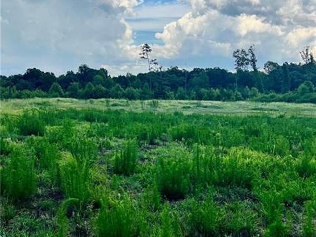 00 Teague Farm Road