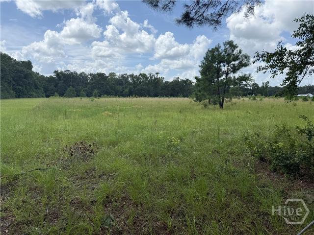 00 Toni Branch Road