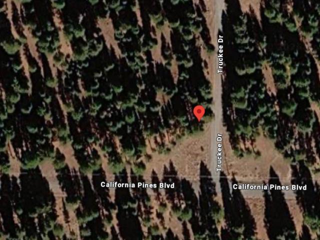 00 Truckee Dr