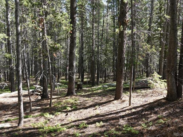 00 Upper Forest Rd