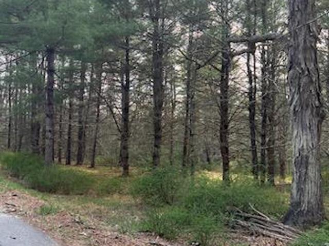 00 Upper Pine Kill Road