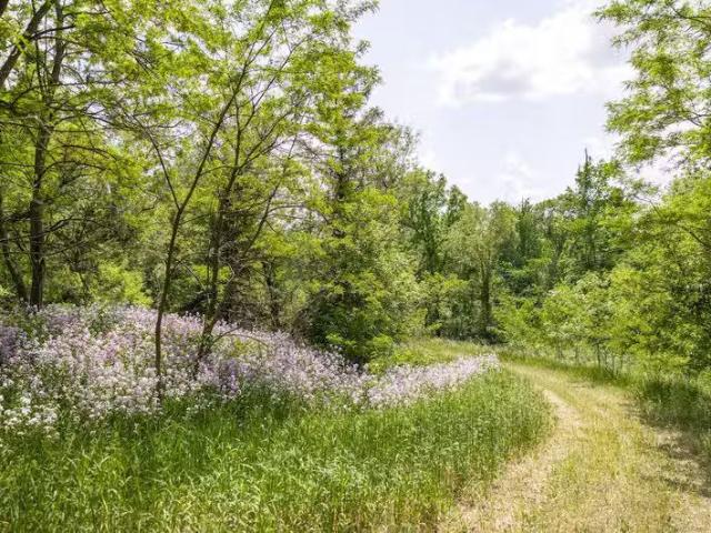 00 V/L 84th St SE, Alto, MI 49302 MLS 24006610