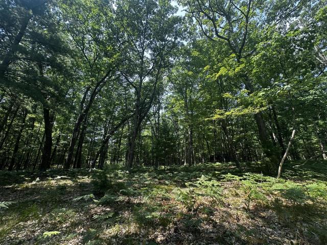 00 VL Deer Trail
