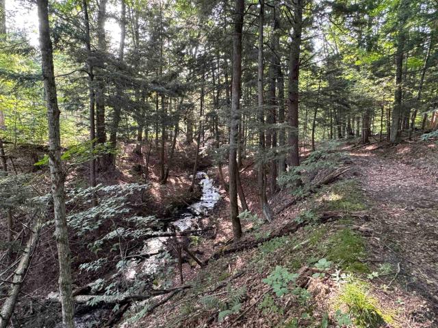 00 W Beeman Road # Wells Creek Ranch