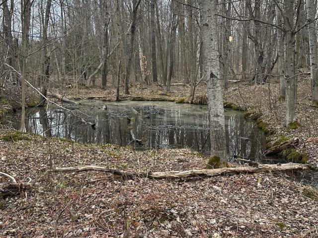 00 W Deborah Ann Trail