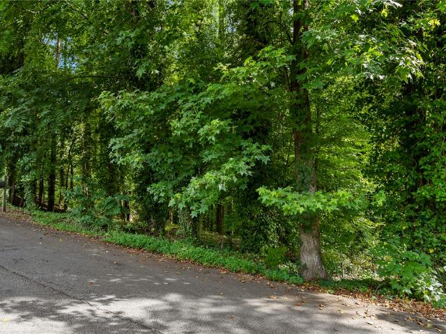 00 W Springwood Drive