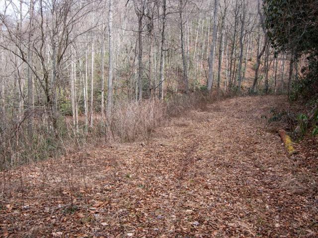 00 Walnut Cove Branch # 17