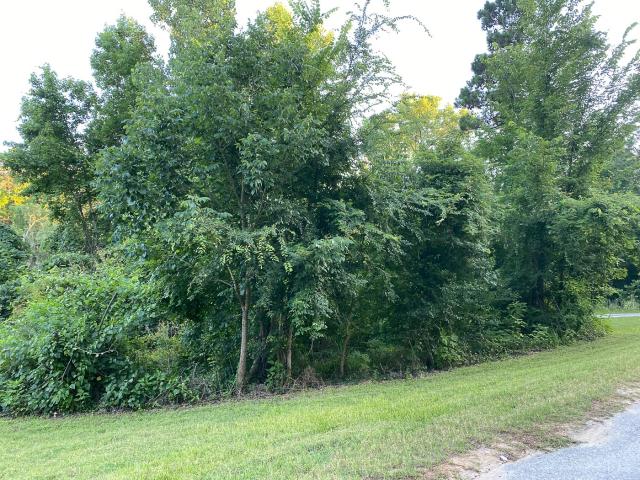 00 White Oak Drive