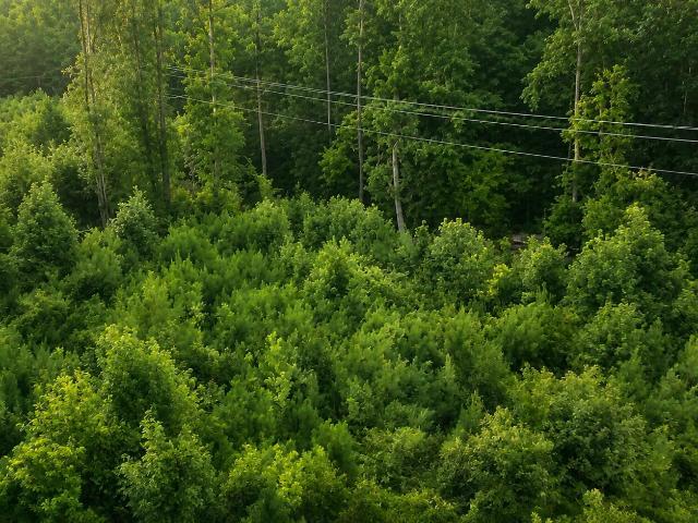 00 Whitesville Road