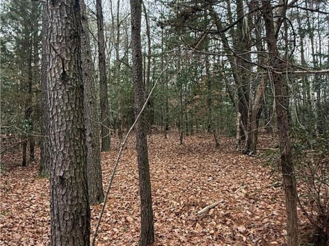 00 Whiting Creek Road