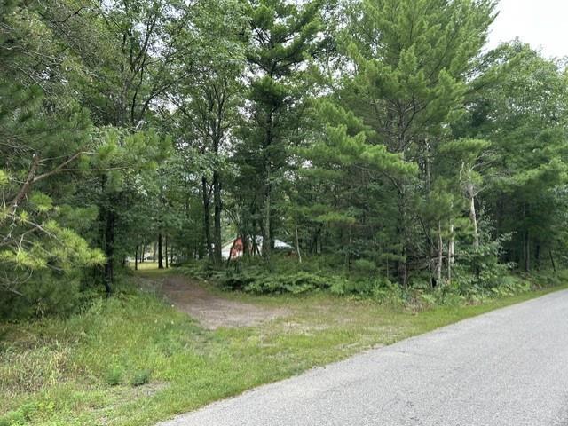 00 Wintergreen Street