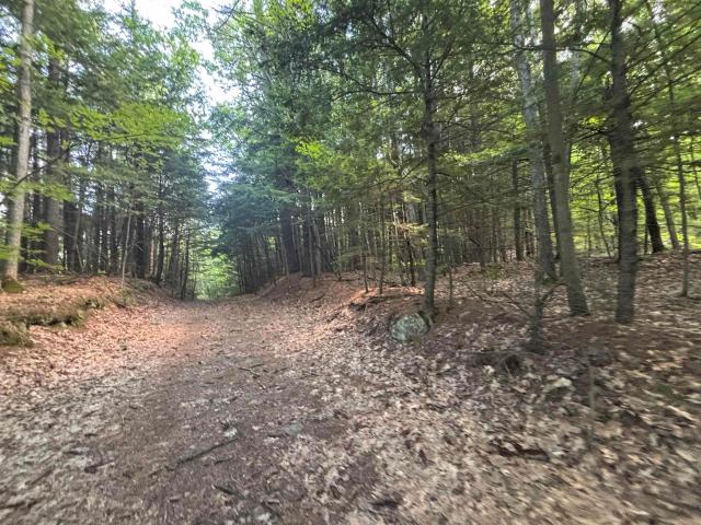 00 Windfall Road