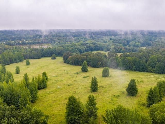 00 Wildcat Hollow