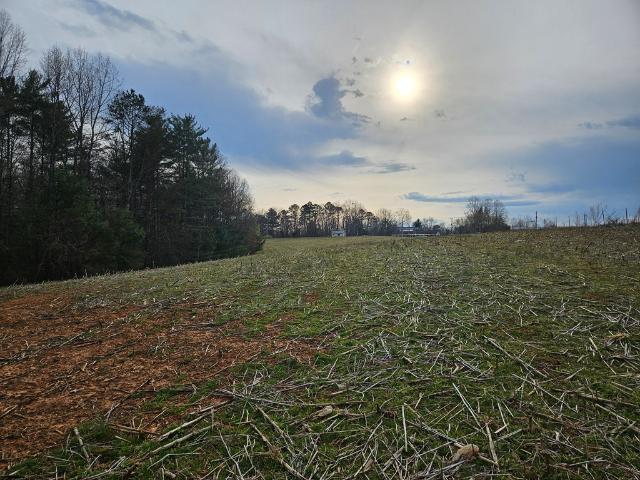 00 Willas Gap