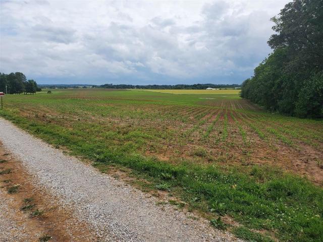 00 Witt Road