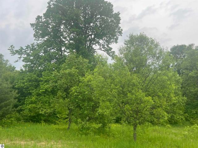 00 Wood Road, NE