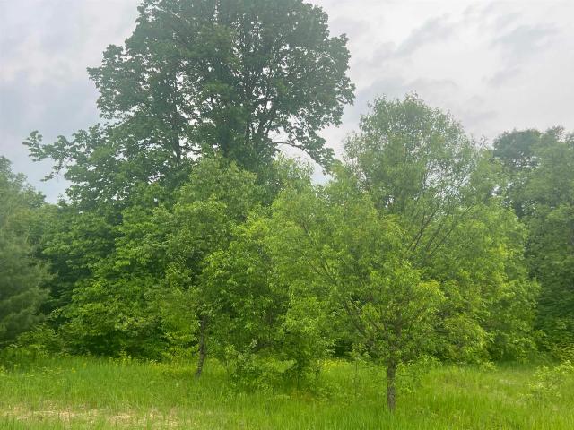 00 Wood Road, NE