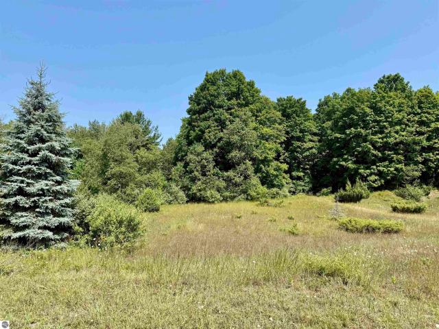 00 Alden Meadows Drive