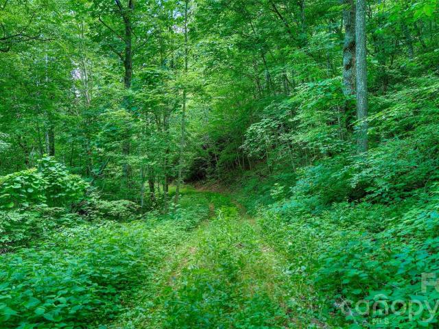 00 Arrowhead Ridge Road