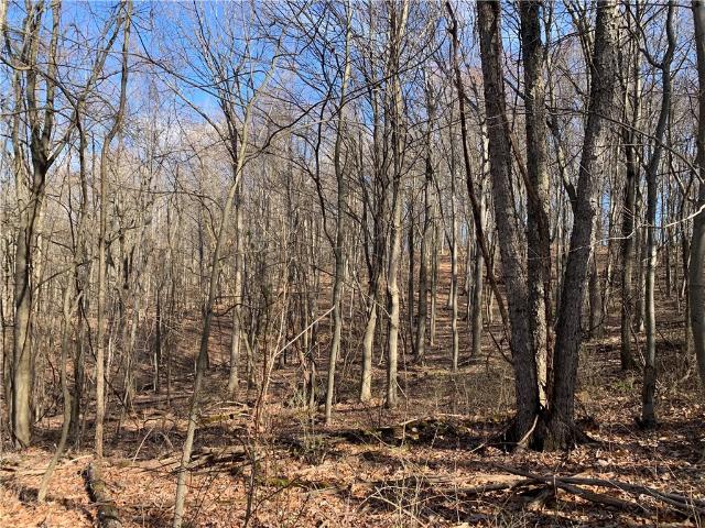 00 Bakerstown Rd
