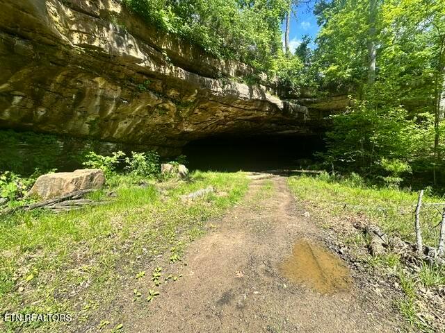 00 Bear Knob Lane